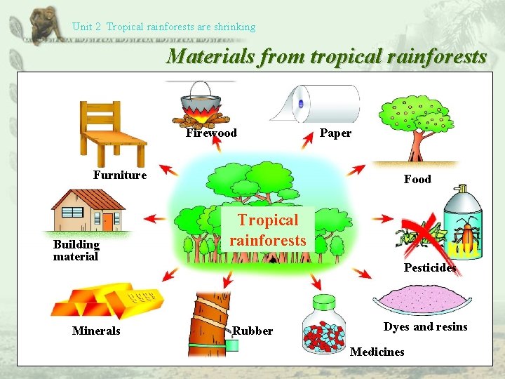 Unit 2 Tropical rainforests are shrinking Unit 2