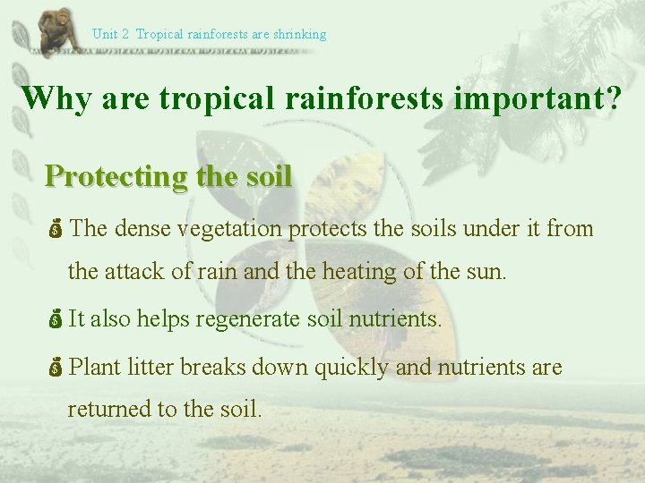 Unit 2 Tropical rainforests are shrinking Unit 2