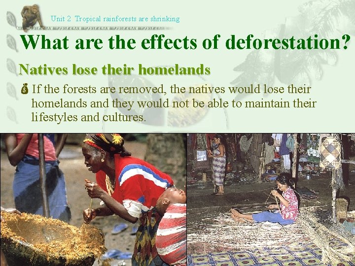 Unit 2 Tropical rainforests are shrinking Unit 2