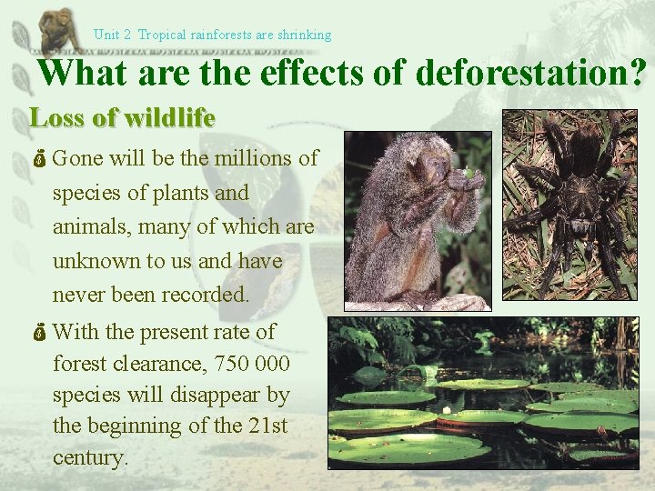 Unit 2 Tropical rainforests are shrinking Unit 2