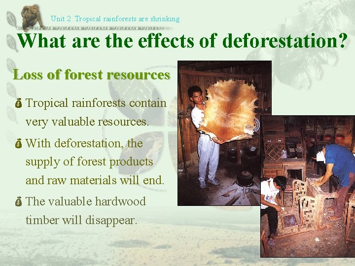 Unit 2 Tropical rainforests are shrinking Unit 2