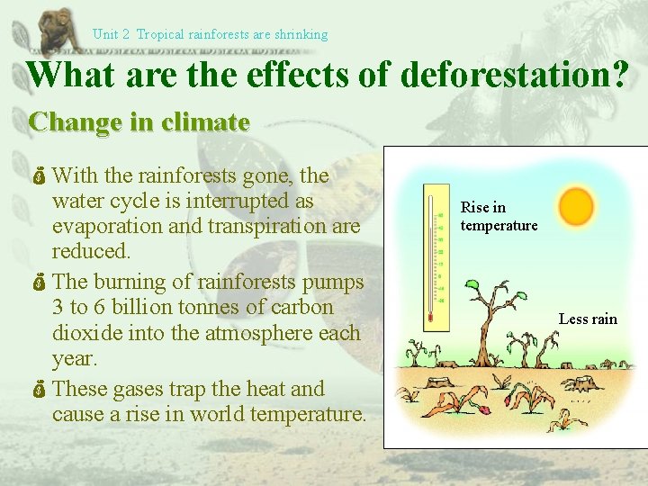 Unit 2 Tropical rainforests are shrinking Unit 2
