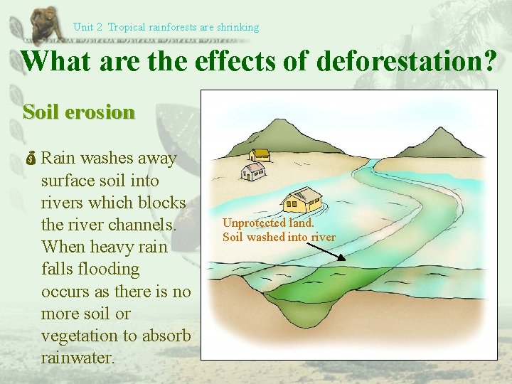 Unit 2 Tropical rainforests are shrinking Unit 2