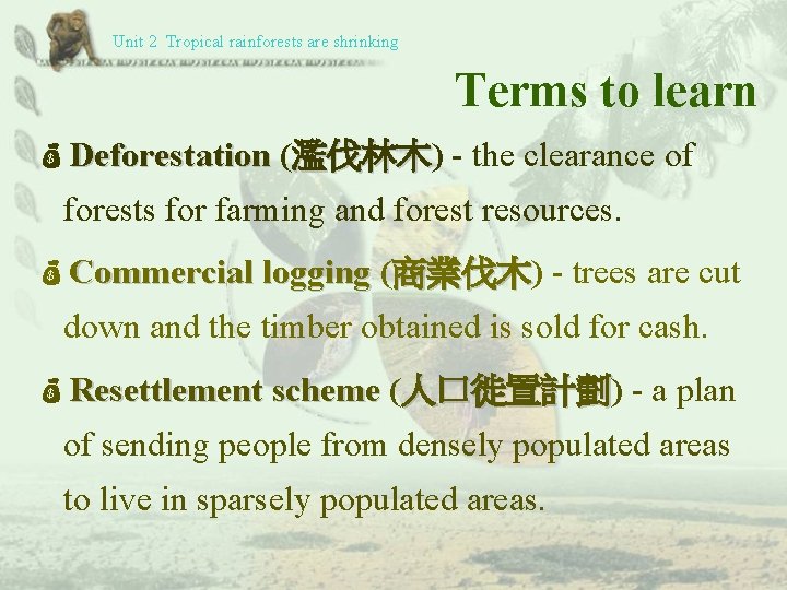 Unit 2 Tropical rainforests are shrinking Unit 2