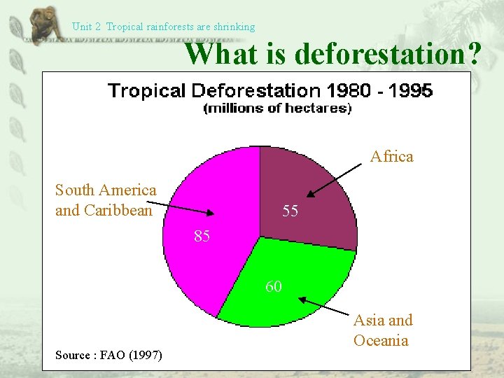 Unit 2 Tropical rainforests are shrinking Unit 2