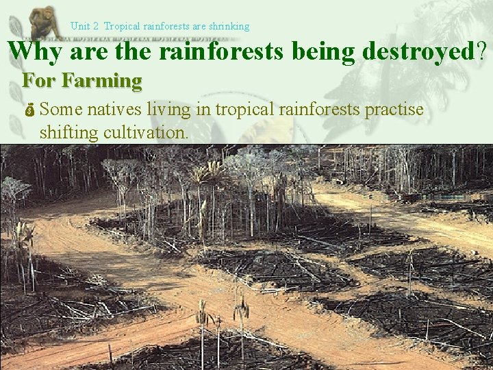 Unit 2 Tropical rainforests are shrinking Unit 2