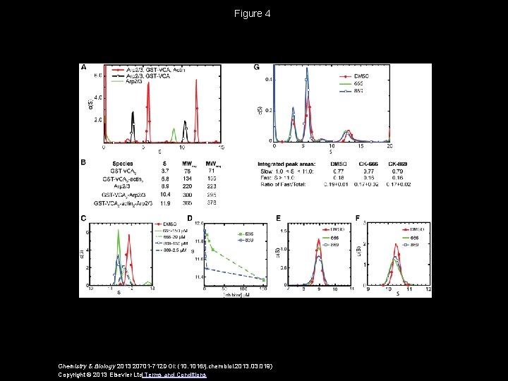 Small Molecules CK666 and CK869 Inhibit ActinRelated Protein