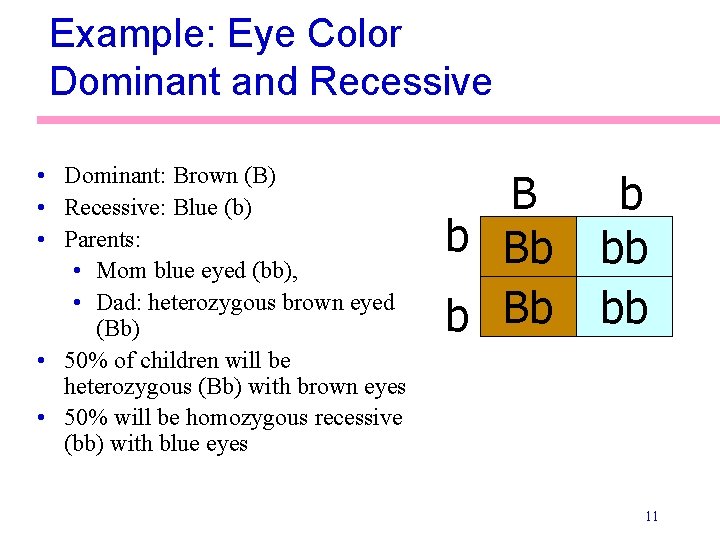 Lab Activity 36 Principles of Heredity Portland Community