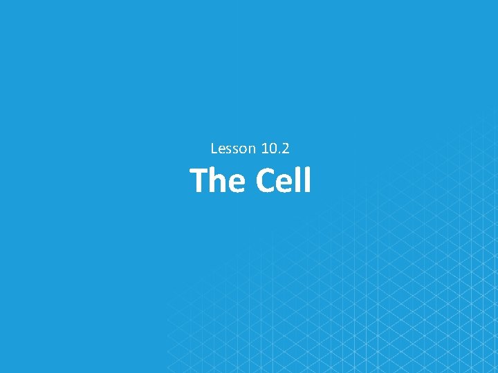 Lesson 10 2 The Cell Vocabulary cell membrane