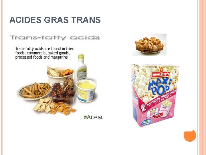 LES LIPIDES LES ACIDES GRAS Saturs Insaturs trans