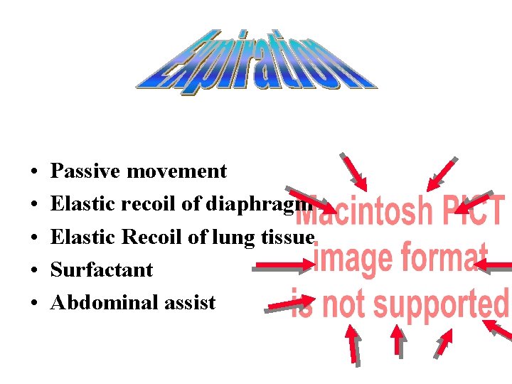 Exchange of Respiratory Gases Control of AcidBase balance