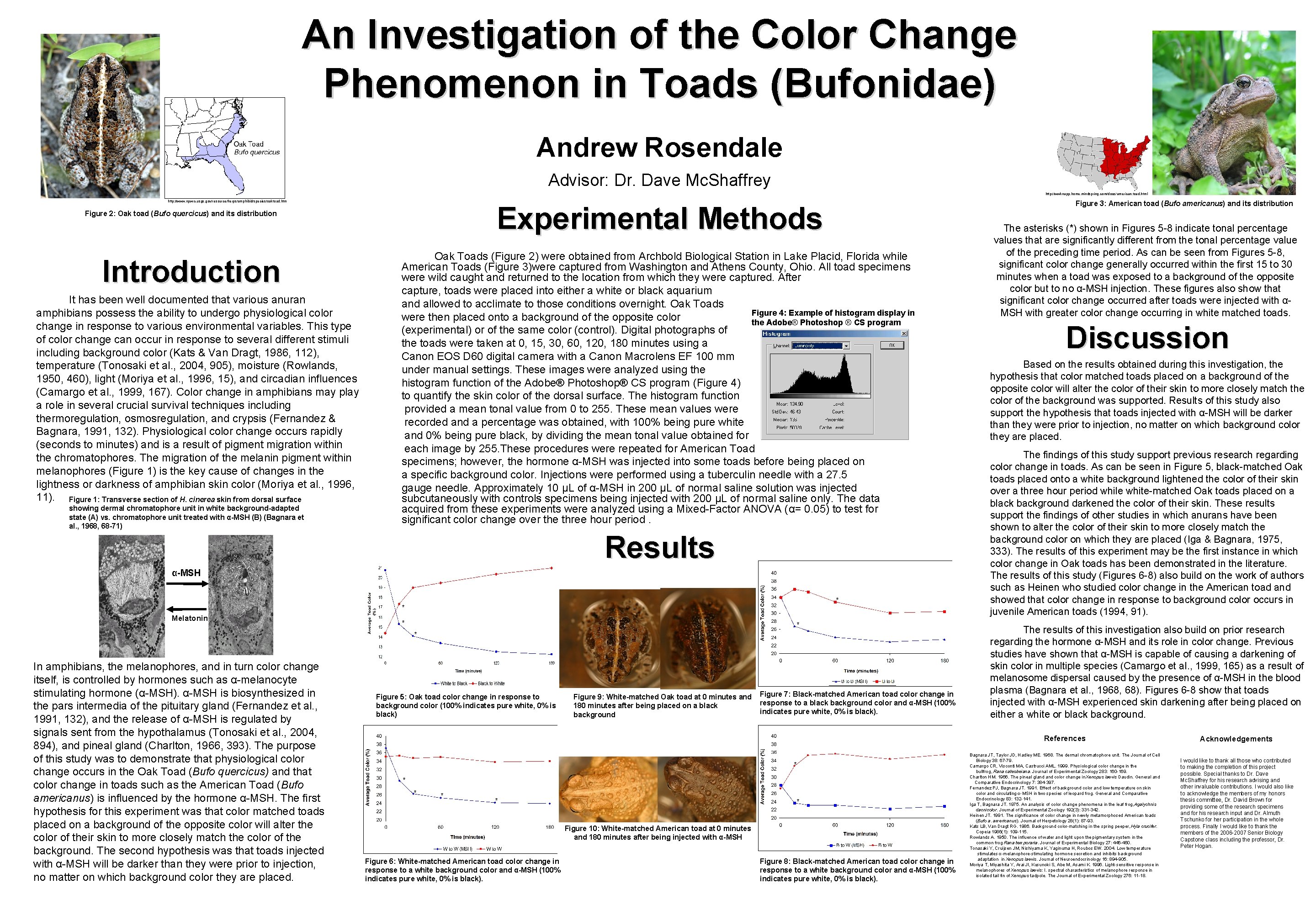 An Investigation of the Color Change Phenomenon in