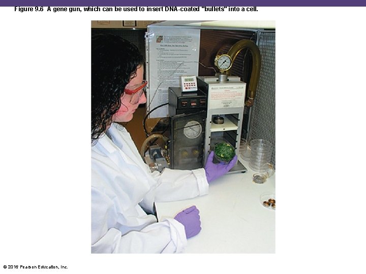 Power Point Lecture Presentations prepared by Bradley W