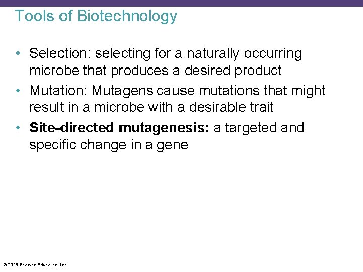 Power Point Lecture Presentations prepared by Bradley W