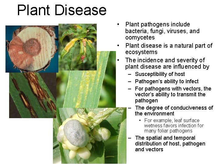 Climate change biodiversity and ecosystem services the view