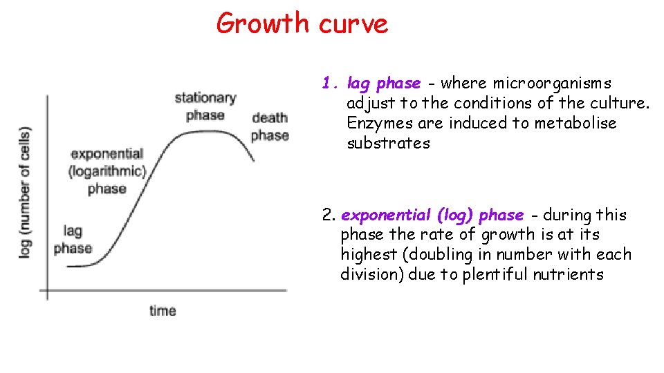 Metabolism and Survival Key Area 6 b Growth