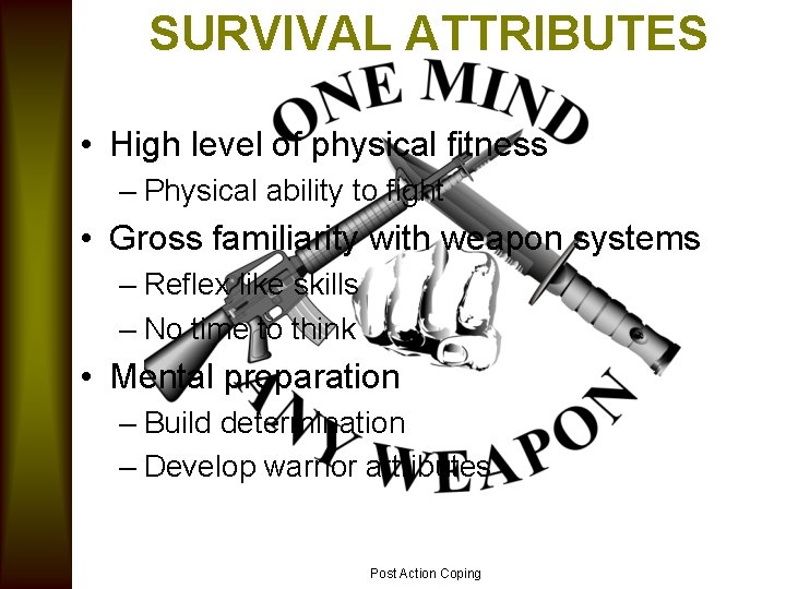 HUMAN DIMENSIONS OF COMBAT MAIB 1055 Marine Corps