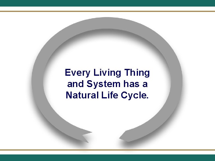 Denominational Life Cycle BIRTH DEATH Every Living Thing