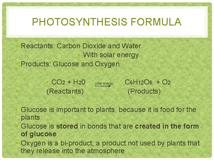 PHOTOSYNTHESIS AND CELL RESPIRATION HTTP WWW YOUTUBE COMWATCH