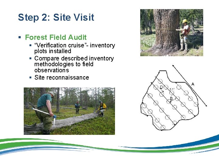 The CAR Forest Project Protocol A Case Study