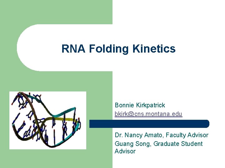 RNA Folding Kinetics Bonnie Kirkpatrick bkirkcns montana edu