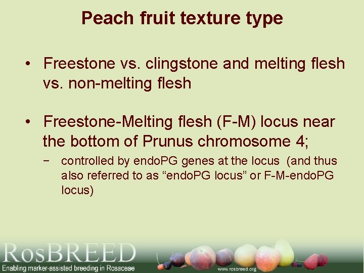 Loci Important for Peach and Cherry Fruit Size