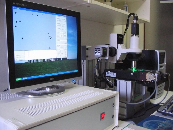 24 th ICNTSBologna 2008 A passive REM counter