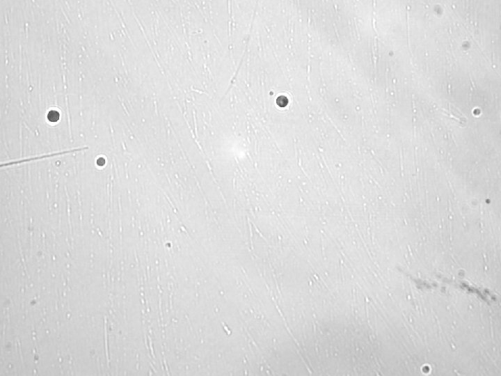 24 th ICNTSBologna 2008 A passive REM counter