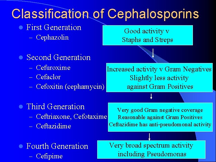 Cephalosporins History of Cephalosporins l Cephalosporin compounds were