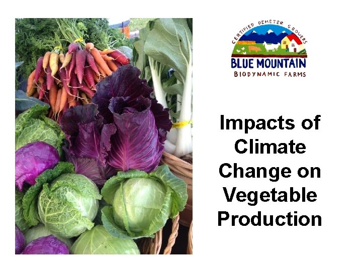 Impacts of Climate Change on Vegetable Production Changing