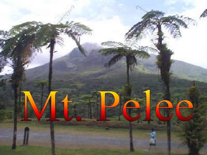 Mt Pelee is located at Martinique in the