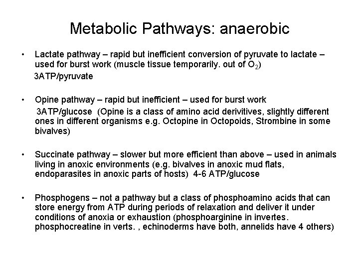 Gas Exchange Metabolic Pathways Glycolysis Glucose Lactate Pyruvate