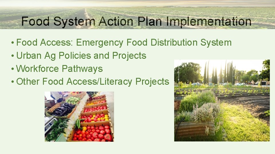 The Three Es of Agriculture Equity and Sustainable