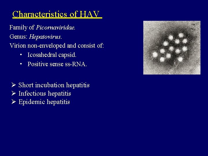 Viral hepatitis Dr Abdulkarim Alhetheel and Dr Malak