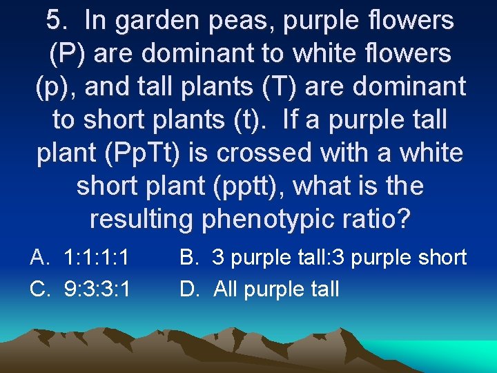 Chapter 10 Review 1 Which represents a polyploid