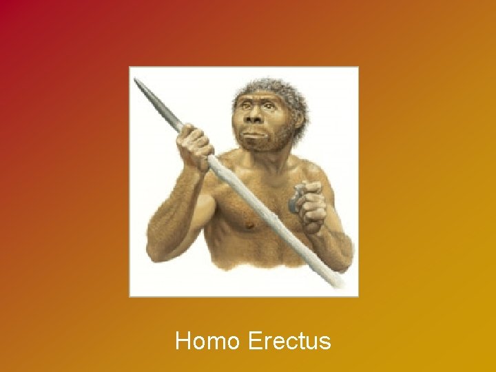 Chapter 2 Section 1 Warm Up Describe how