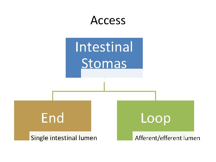 Intestinal Stomas Stoma or ostomy Definition An intestinal
