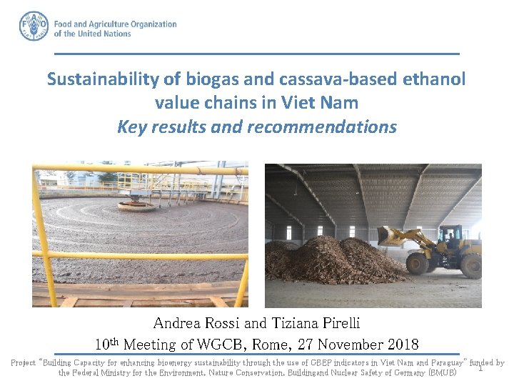 Sustainability of biogas and cassavabased ethanol value chains