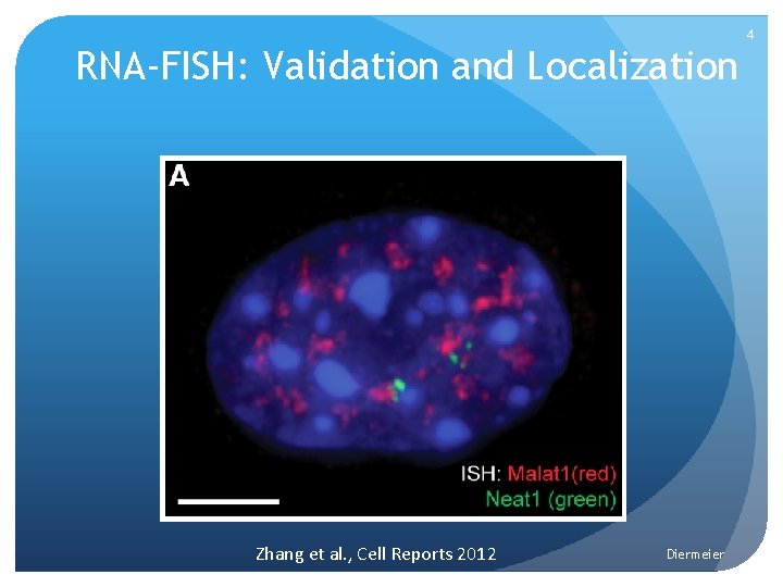 Validation of RNASeq data An introduction to q