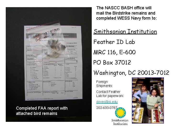 For more than 40 years the Smithsonian Institution