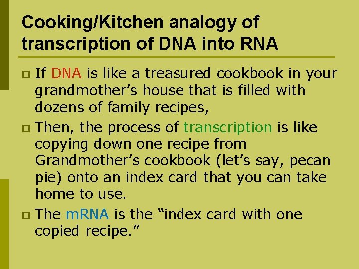 Ribonucleic Acid RNA and Protein Synthesis Section 12