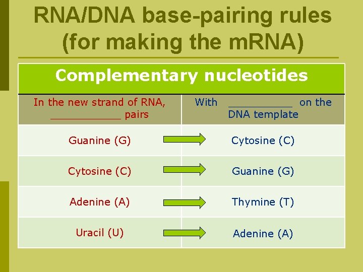 Ribonucleic Acid RNA and Protein Synthesis Section 12