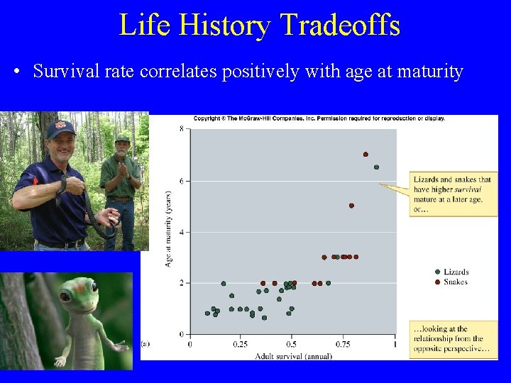Life Histories Ch 12 Life history tradeoffs Principle
