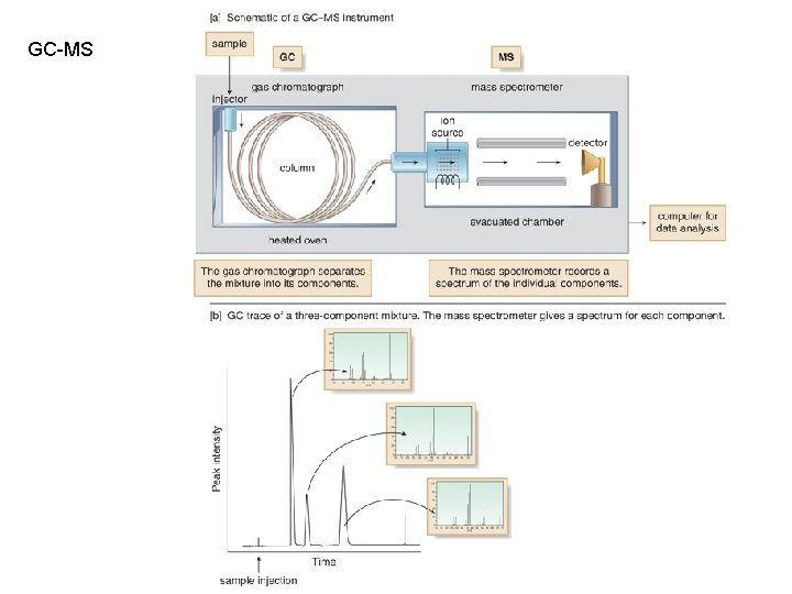 Mass Spectrometry MS In MS a molecule is