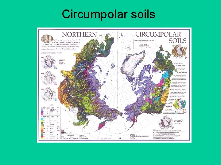 Soil of Russia in Global Programs Vladimir Stolbovoy