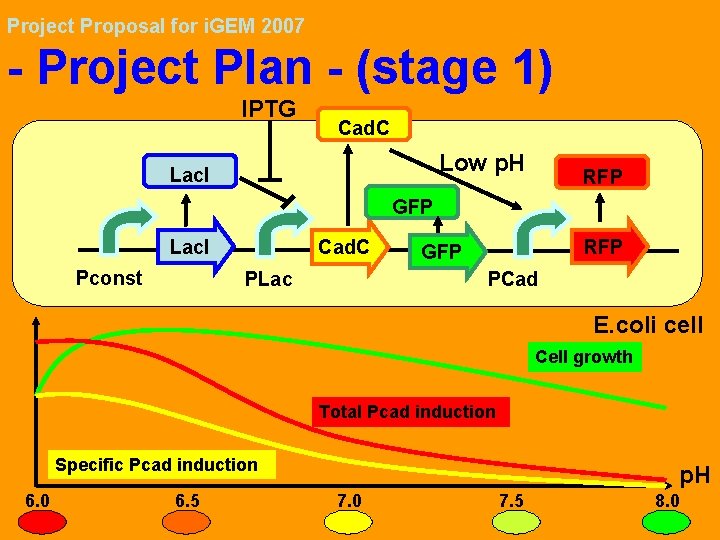 Project Proposal for i GEM 2007 Project Specifications