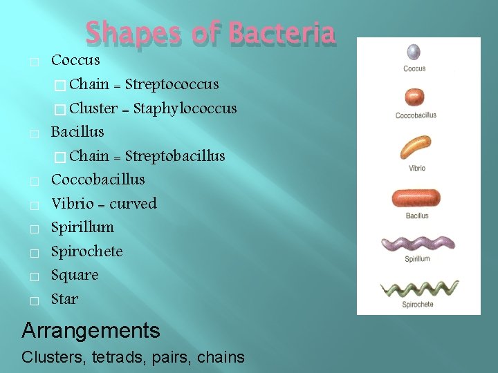 Classification Structure morphology growth movements and function of
