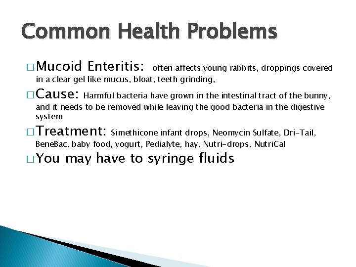 Basic Care Clinic Rabbits Dates of Importance Saturday