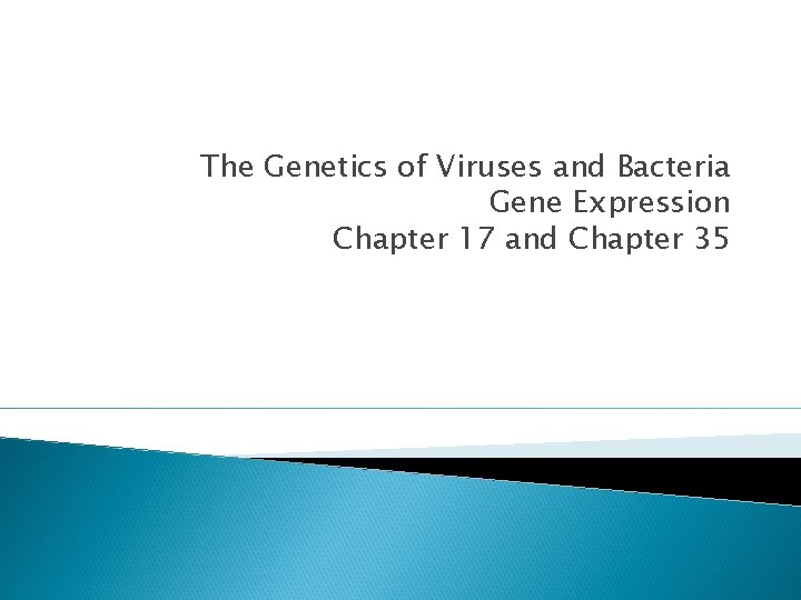 The Genetics of Viruses and Bacteria Gene Expression