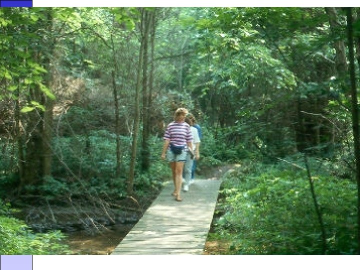 Recreation management Recreation Management Objectives Foster an ...